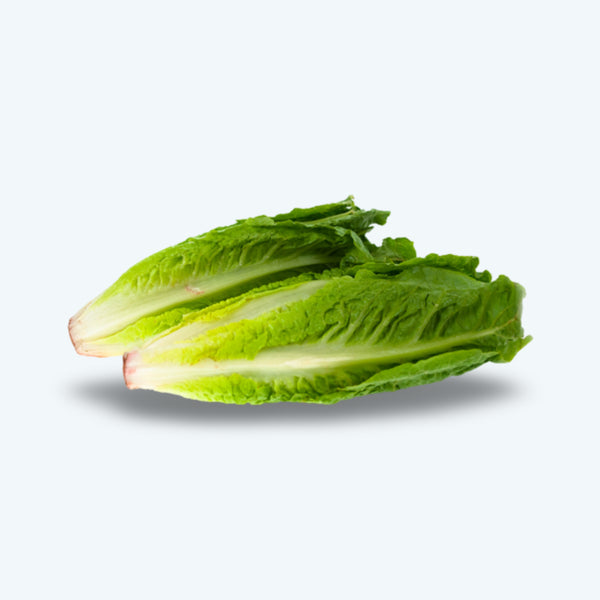 Romeinse sla – versonline